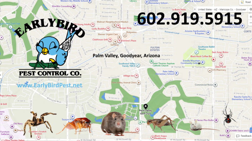 Palm Valley Pest Control Goodyear AZ Early Bird Pest Control