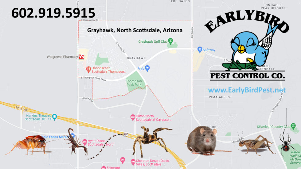 Grayhawk Pest Control Scottsdale AZ Early Bird Pest Control