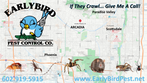 Arcadia Pest Control Exterminator Scottsdale Paradise Valley