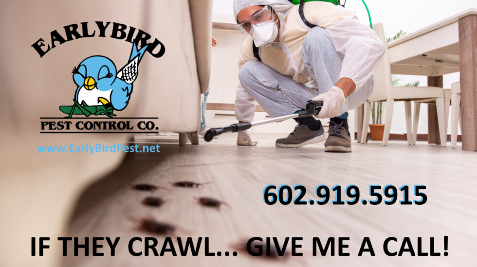 Arcadia Pest Control Exterminator Scottsdale Paradise Valley