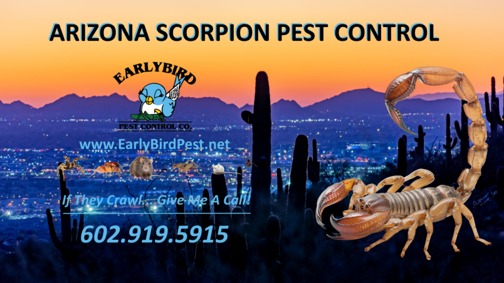 Pest Control Exterminator North Scottsdale Paradise Valley